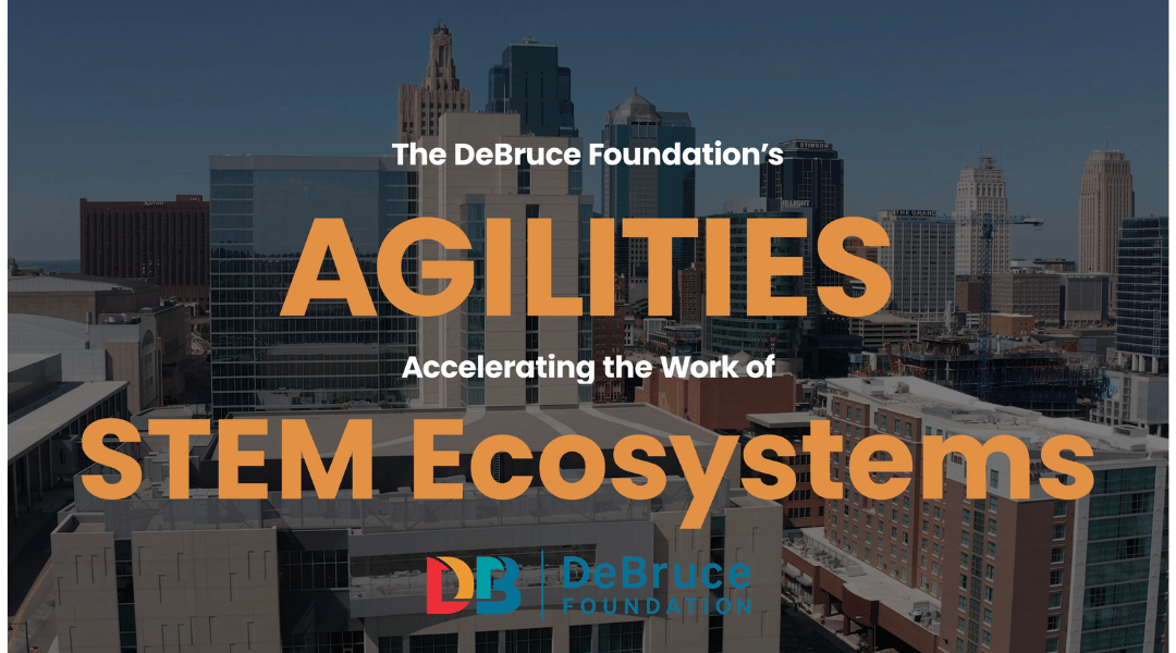 STEM Ecosystems - DeBruce Agilities